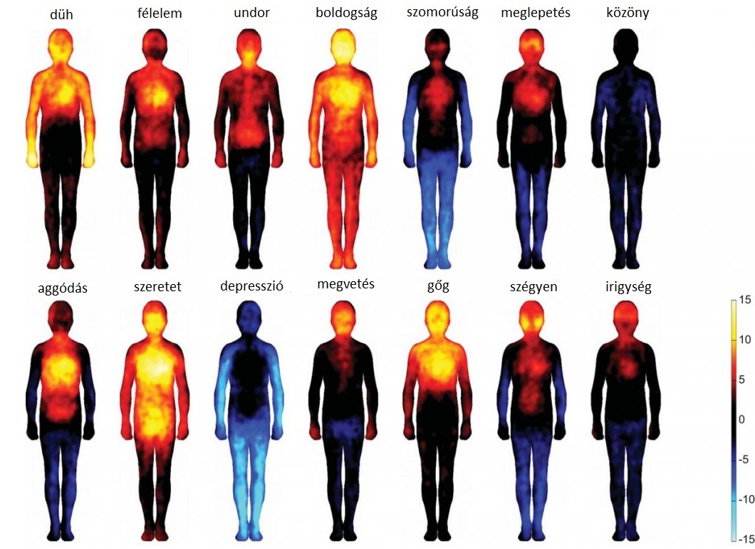Mi történik veled? A tested üzen.